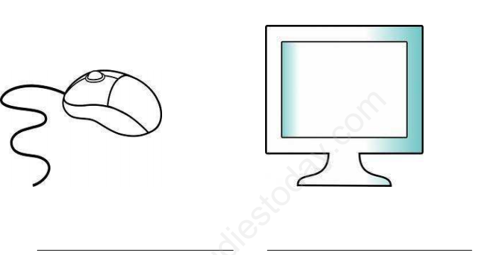 CBSE Class 1 Computer Science Assignment Set C